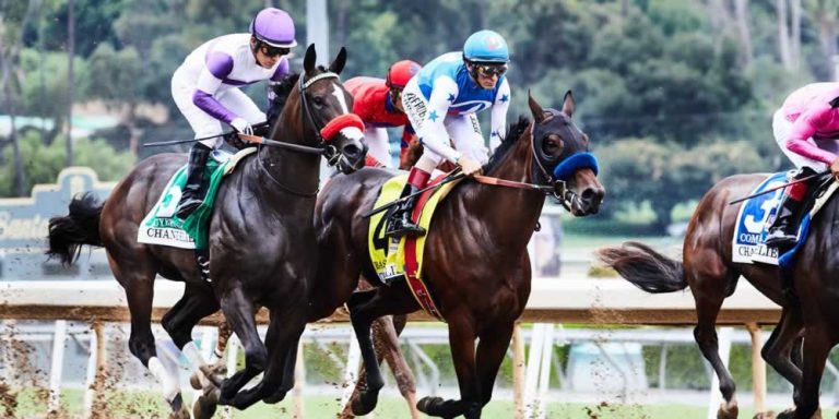 Best USA Horse Betting Sites | Best USA Racebooks